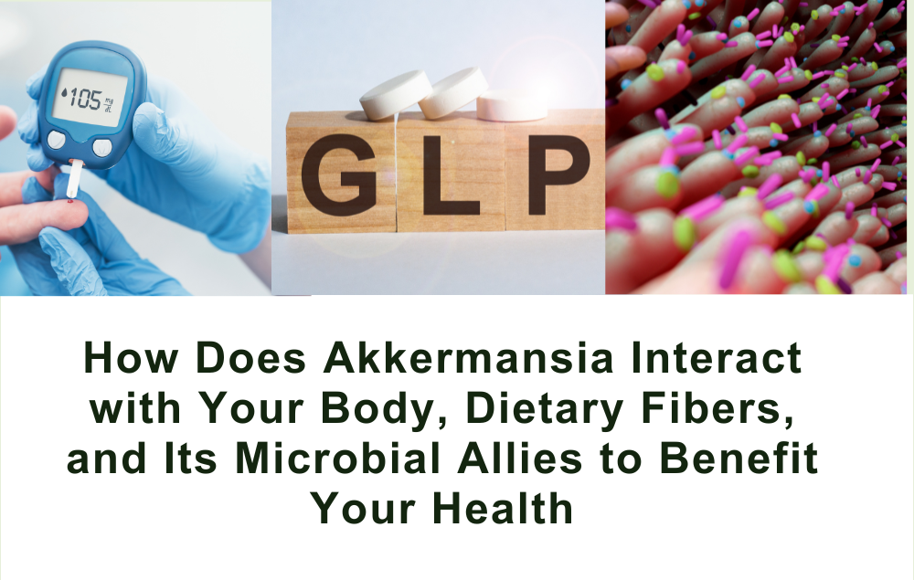 How to Boost Akkermansia in Your Gut? – A Comprehensive Guide - Layer ...