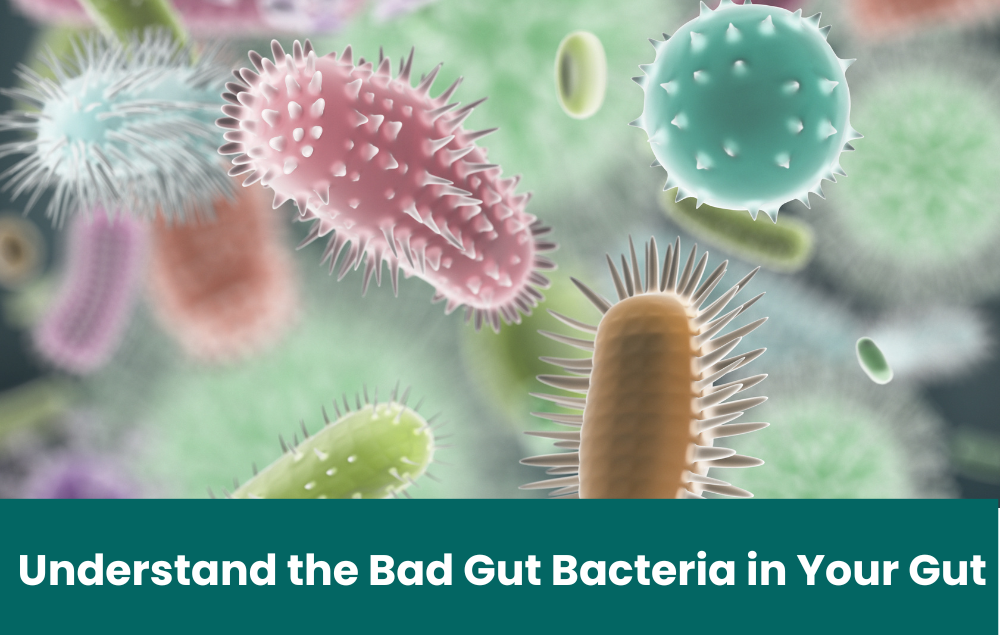 Understanding Bad Gut Bacteria and How They Impact Your Health – Layer ...