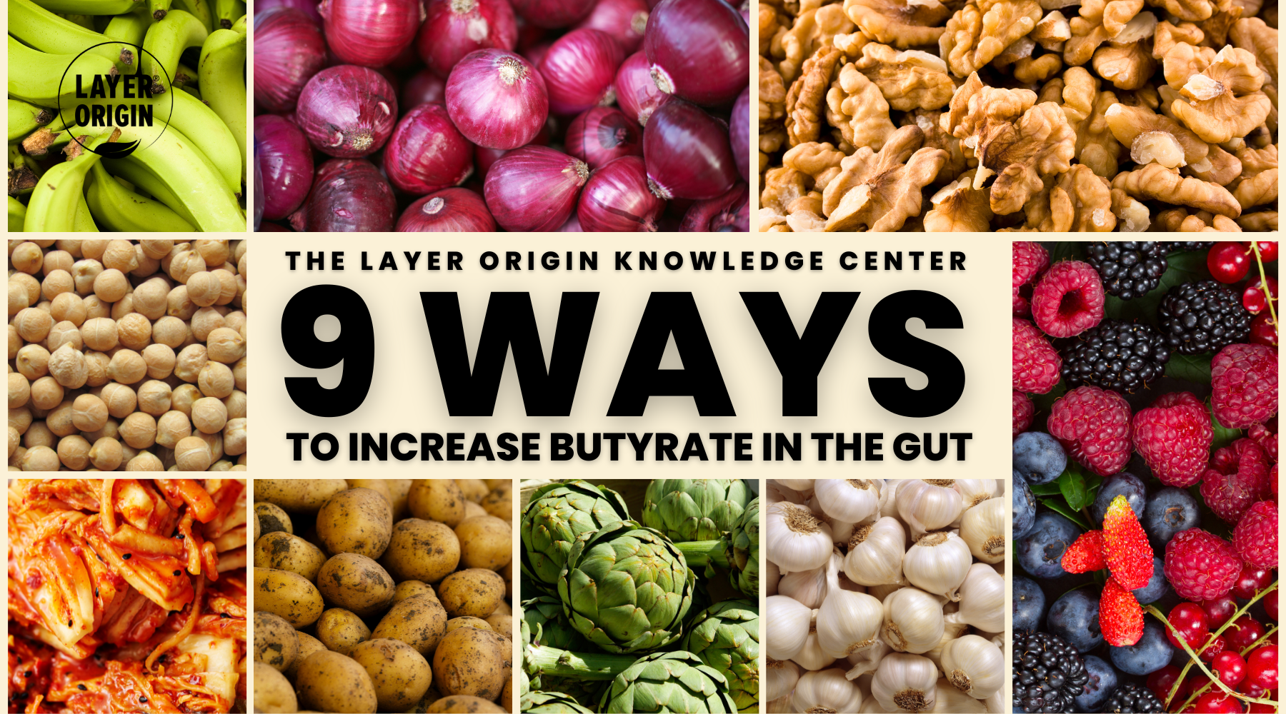 Increase Butyrate in the Gut: 9 Science-Backed Ways – Layer Origin ...