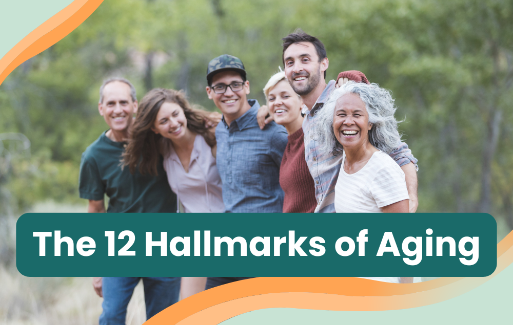 The 12 Hallmarks of Aging - Layer Origin Nutrition