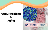 How Can the Gut Microbiome Help Reverse Aging? - Layer Origin Nutrition