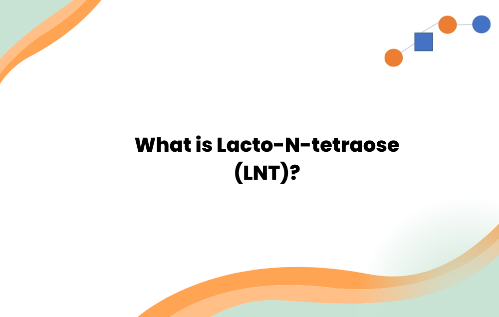 What is Lacto-N-Tetraose (LNT)? - Layer Origin Nutrition