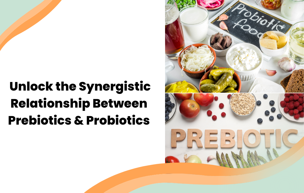 Synbiotics: Unlocking the Synergistic Relationship Between Prebiotics ...