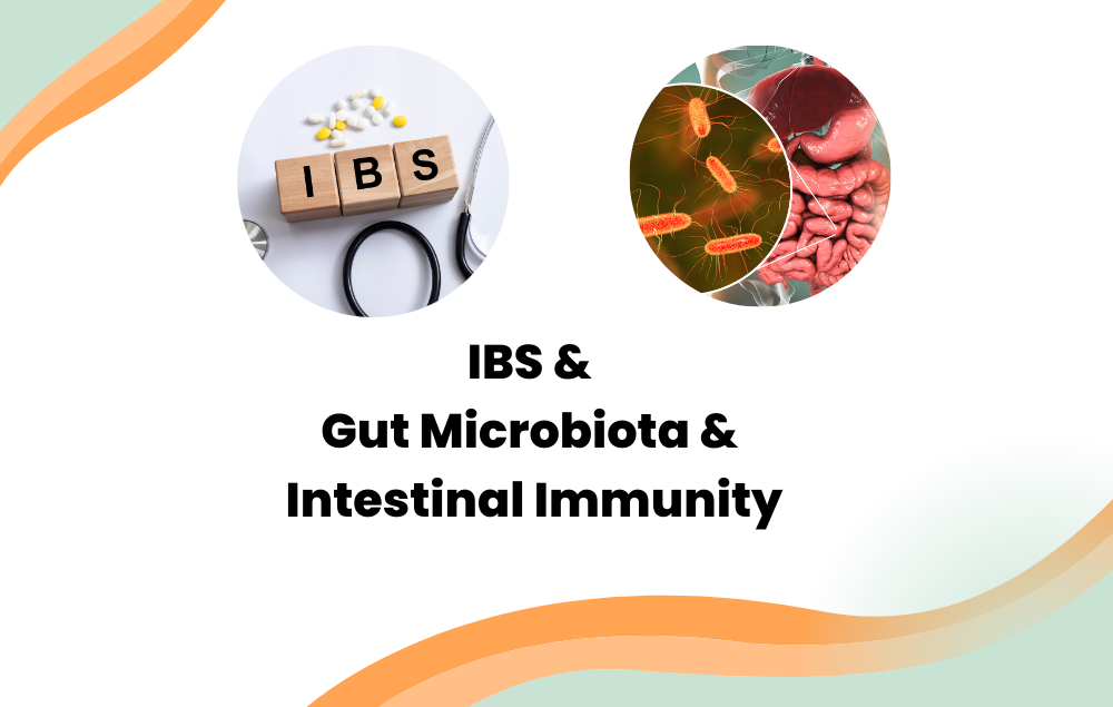 The Interaction Between Gut Microbiota and Intestinal Immunity in Irri ...