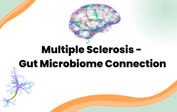 The Multiple Sclerosis - Gut Microbiome Connection - Layer Origin Nutrition