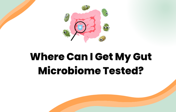 Where Can I Get My Gut Microbiome Tested? - Layer Origin Nutrition