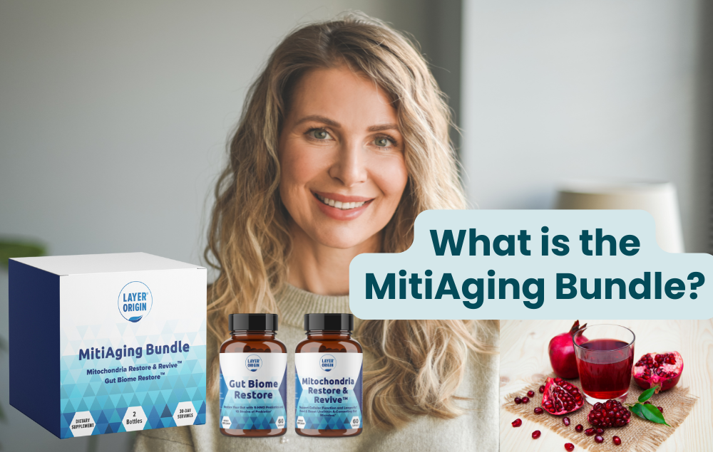 Oscillibacter sp. 57_20: What is it and Why Should You Care? - Layer ...