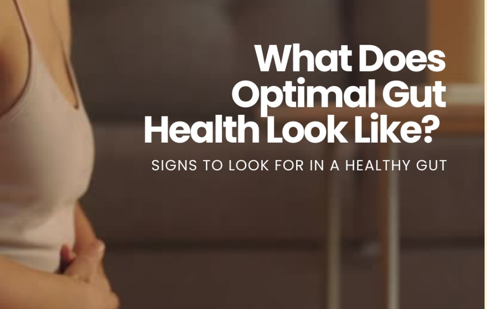 What Does Optimal Gut Health Look Like? (All-Photo Info) – Layer Origin ...