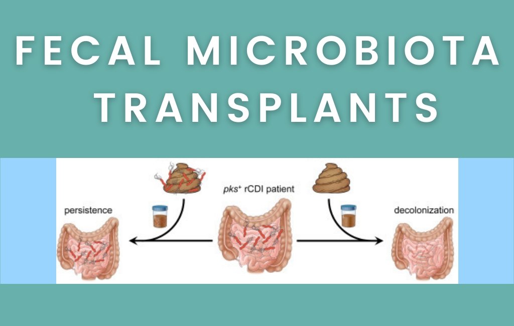 Fecal Microbiota Transplants - Layer Origin Nutrition