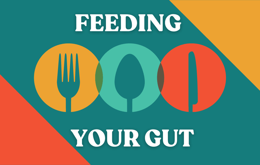 Feeding Your Gut Properly with Prebiotics - Layer Origin Nutrition