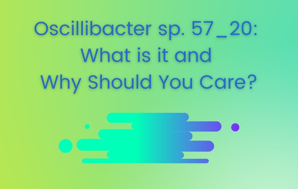 Oscillibacter sp. 57_20: What is it and Why Should You Care? - Layer ...