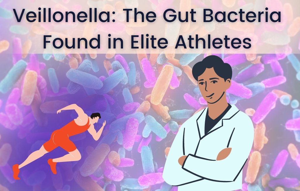 Veillonella: The Gut Bacteria Found in Elite Athletes - Layer Origin ...