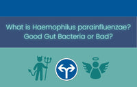 What is Haemophilus parainfluenzae and is it Actually a Good Gut Micro ...